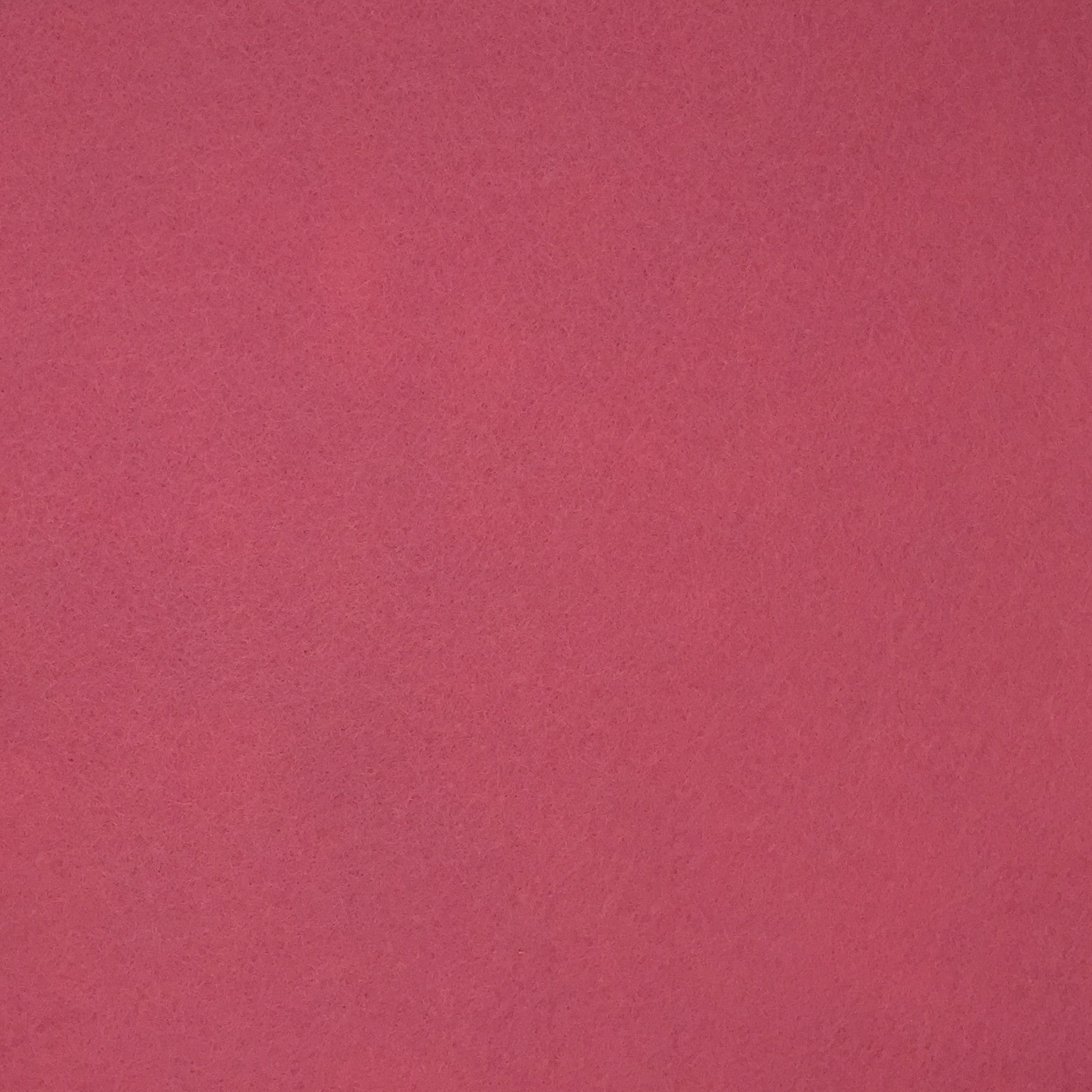 Wool Felt in English Rose - Bunbury Fabrics